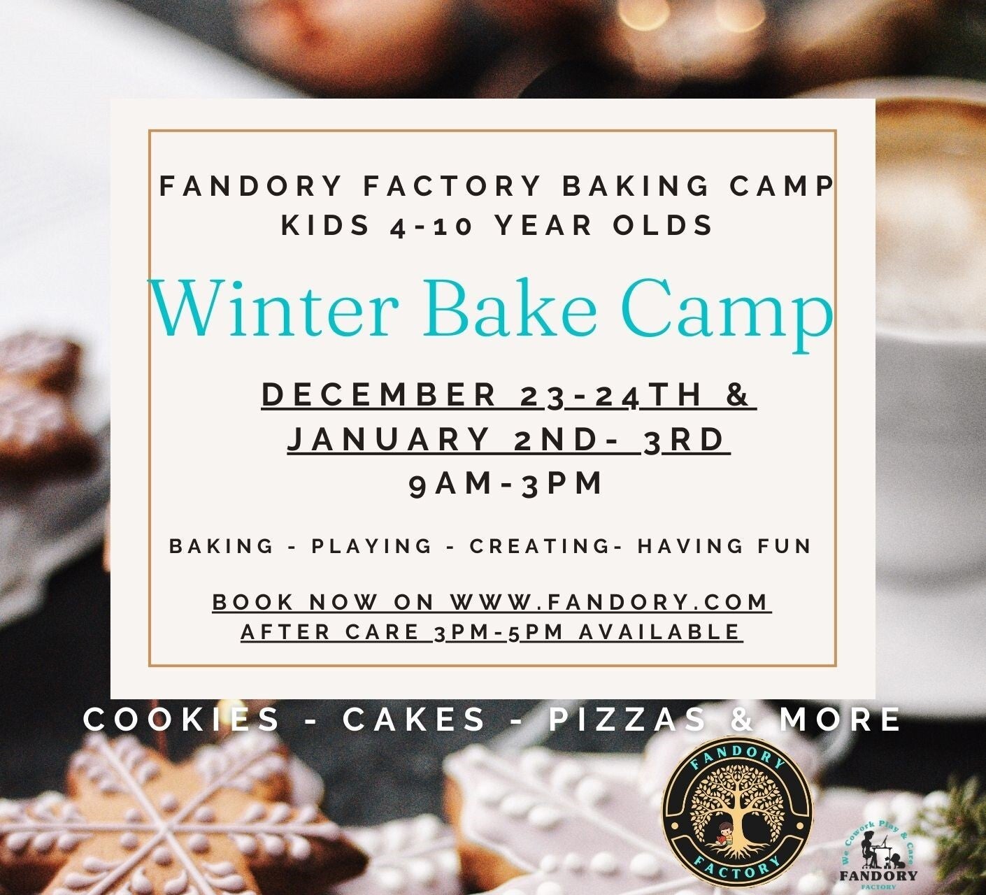 Winter Break Baking Camp for kids | Fandory Factory